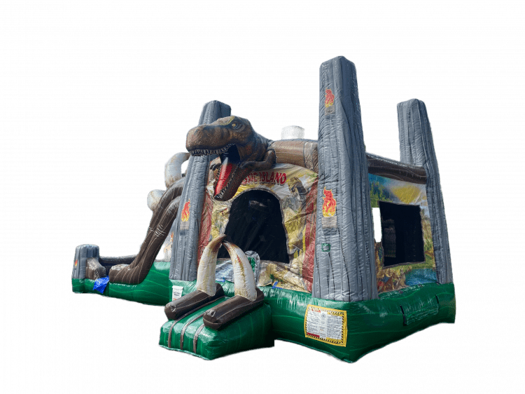 Water Slides - Bayou Funtime Inflatables